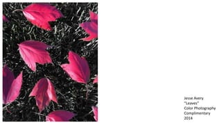 Unit 2: "Elements of Design" | PPTX | Photography | Arts and Crafts