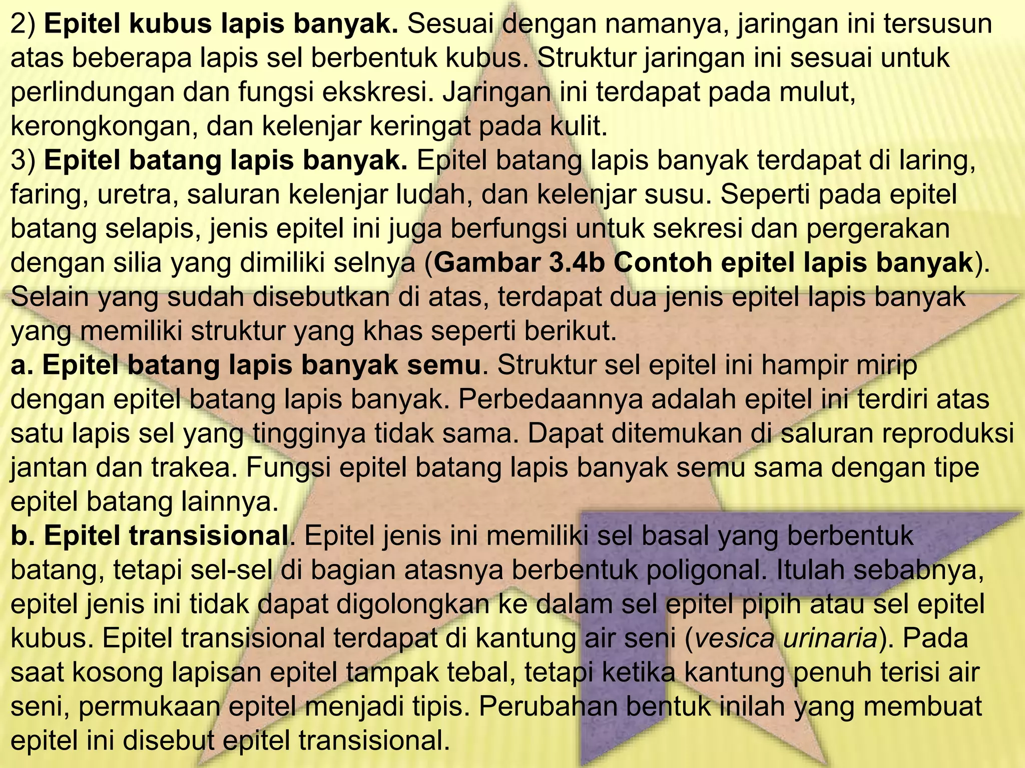 Jaringan Epitelium | PPTX