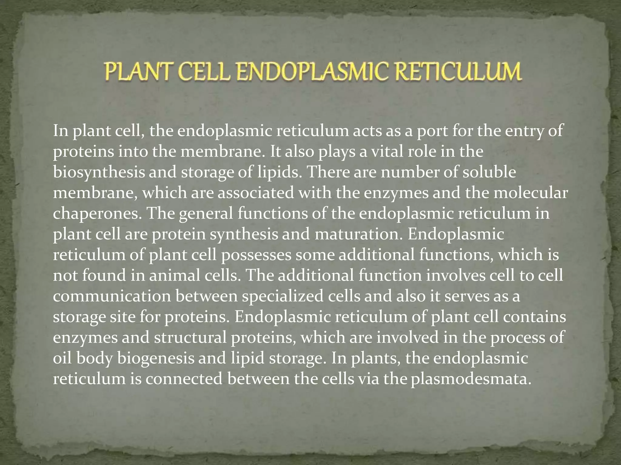 ENDOPLASMIC RETICULUM | PPTX