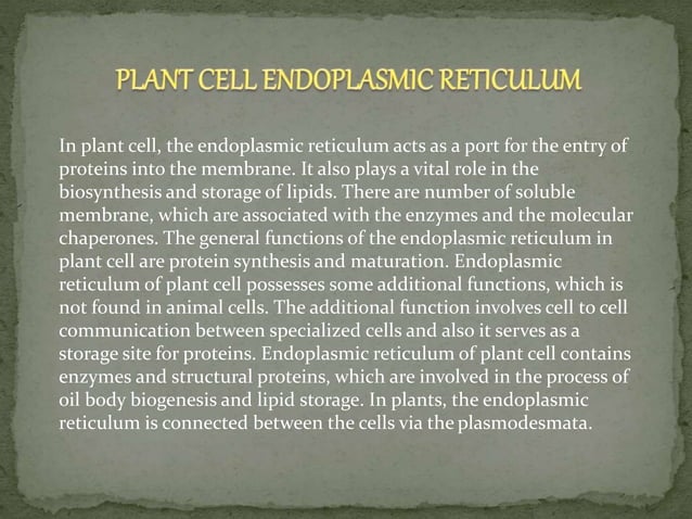 ENDOPLASMIC RETICULUM | PPTX | Biological Sciences | Science