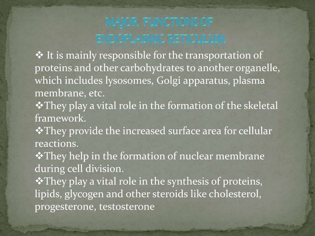 ENDOPLASMIC RETICULUM | PPTX | Biological Sciences | Science
