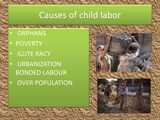 child labor | PPTX