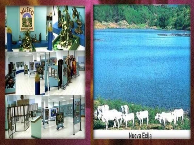 REGION III CENTRAL LUZON Geography | PPTX