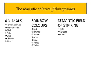 Linguistic- Approaches of Internal Organisation of Vocabularies | PPT