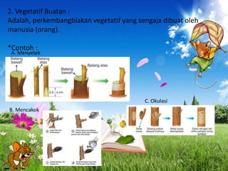 Adaptasi, Seleksi alam, dan Perkembangbiakan | PPTX