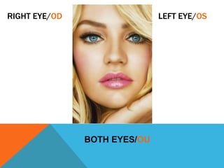 Special Senses: The Eye and Ear | PPTX