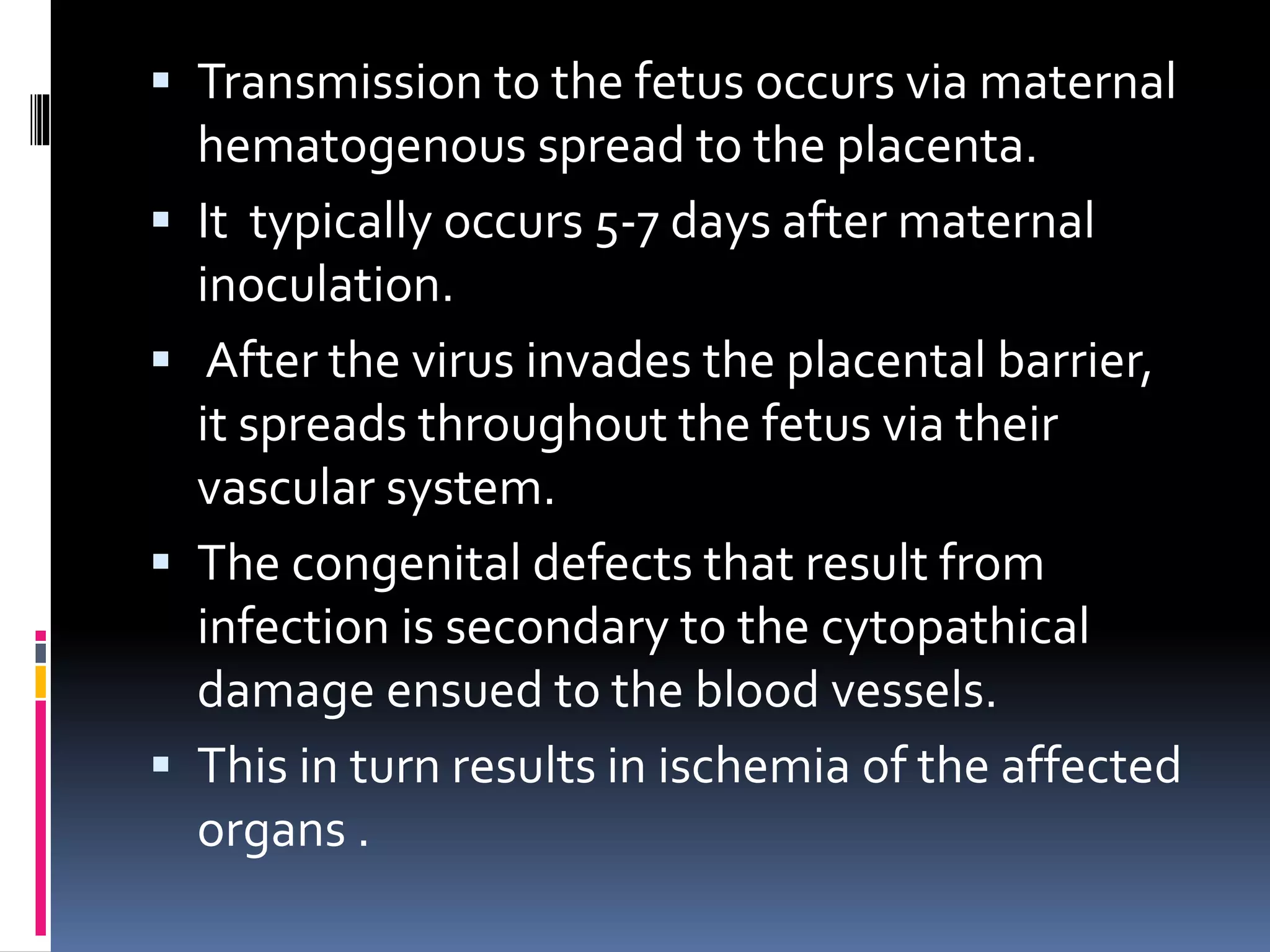 TORCH INFECTIONS | PPTX