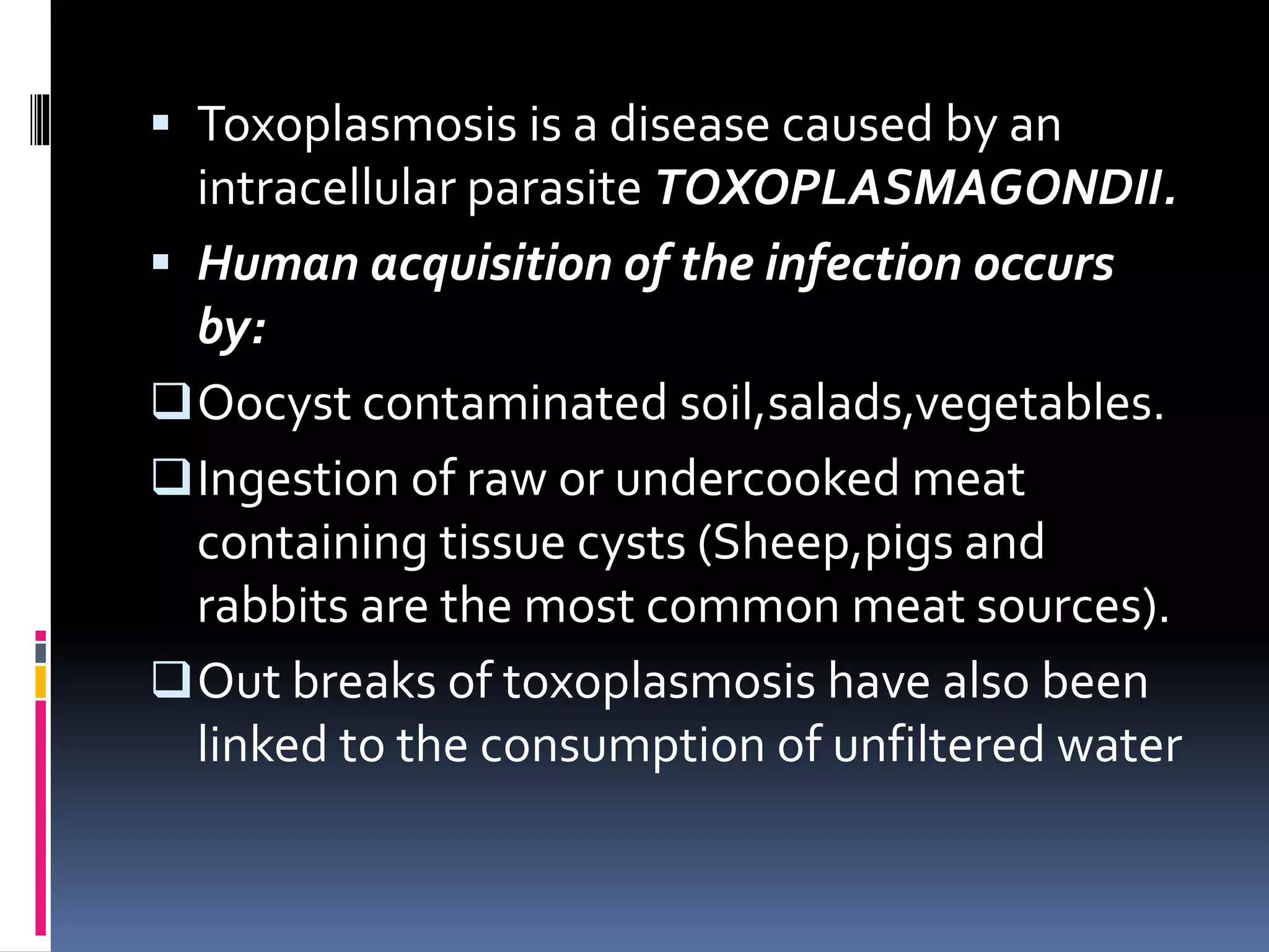 TORCH INFECTIONS | PPTX