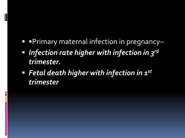 TORCH INFECTIONS | PPTX