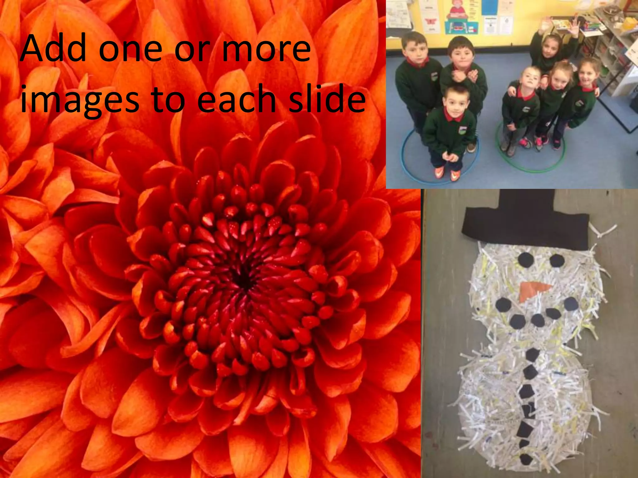 Sample slideshow | PPTX