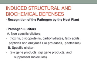 How Plants defend themselves against pathogens. | PPTX