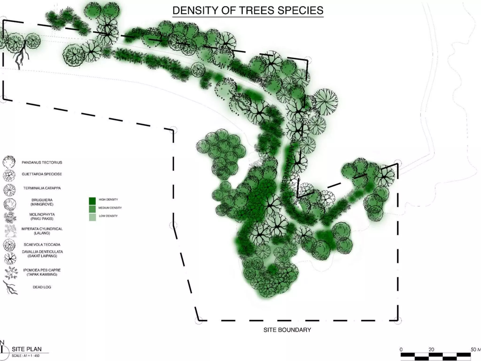 Site Analysis Presentation | PPTX
