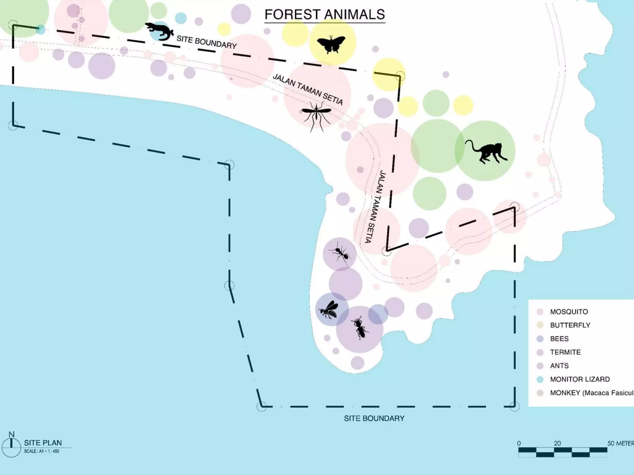 Site Analysis Presentation | PPTX