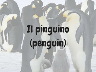 Italian Vocabulary Words: Zoo Animals | PPTX