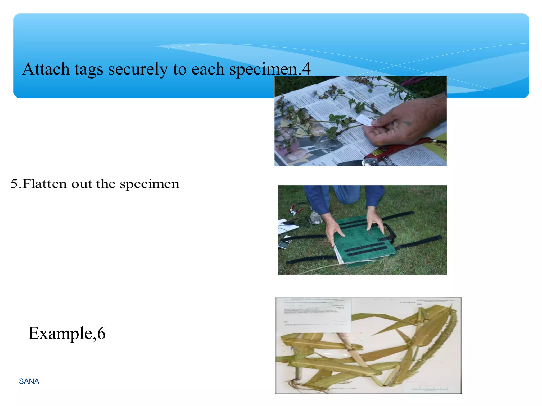 EVIDENCE COLLECTION AND ANALYSIS | PPT