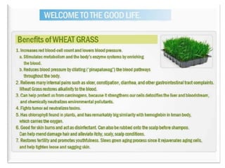 JC Business International | PPT