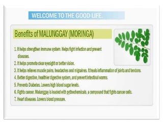 JC Business International | PPT