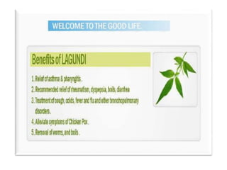 JC Business International | PPT