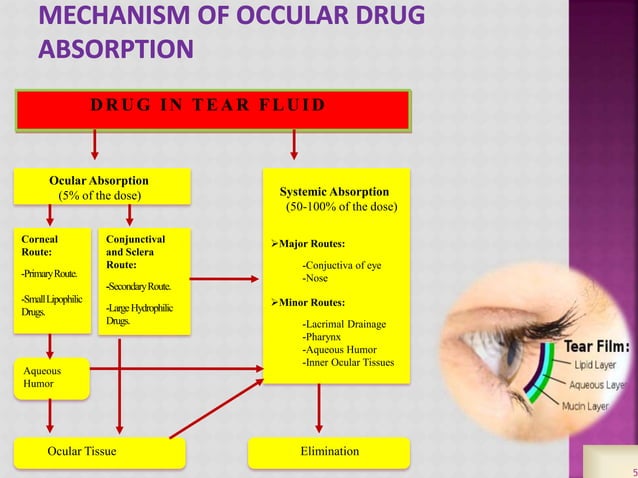 occular drug delivery system | PPT