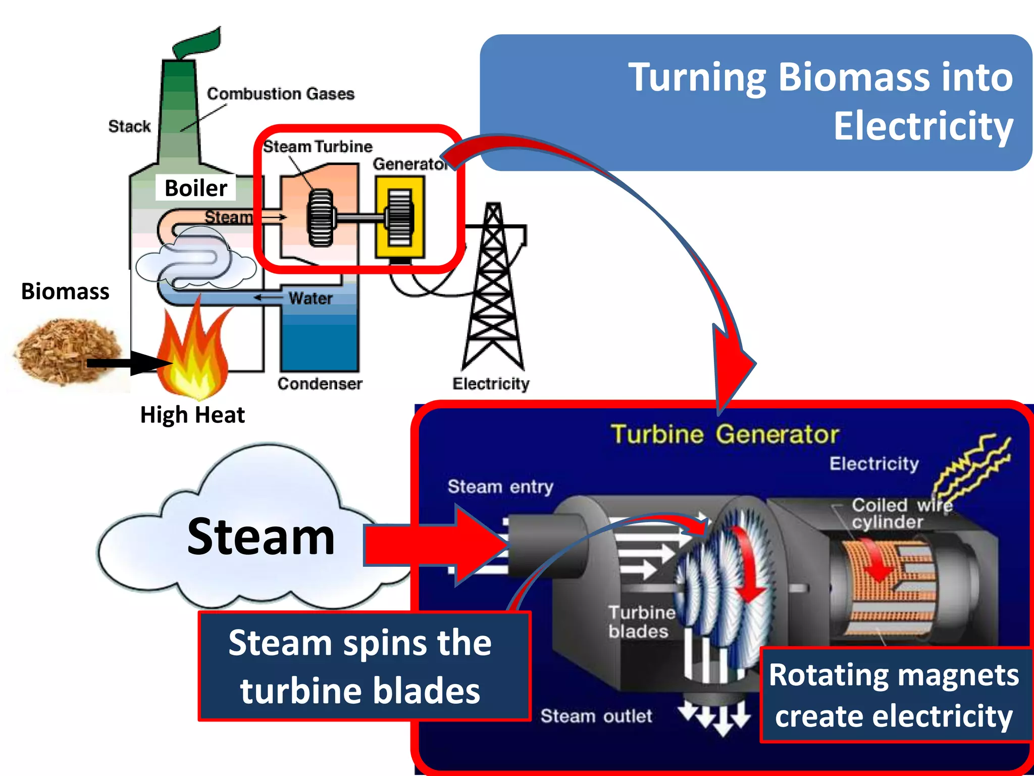 biomass presentation | PPTX