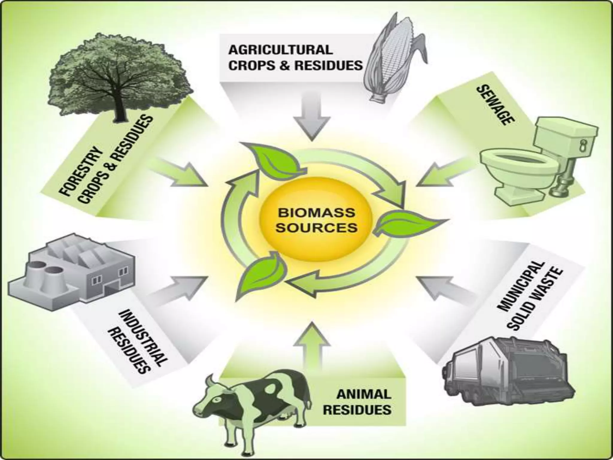 biomass presentation | PPTX