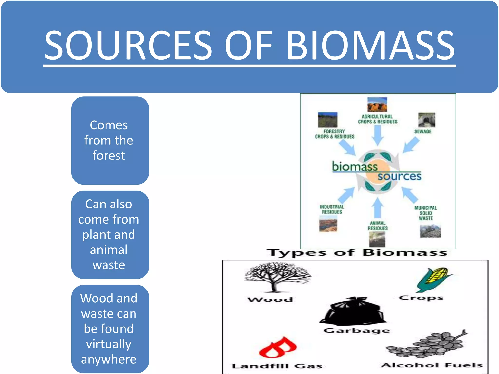 biomass presentation | PPTX