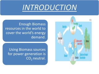 biomass presentation | PPTX