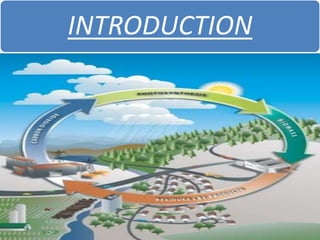 biomass presentation | PPTX