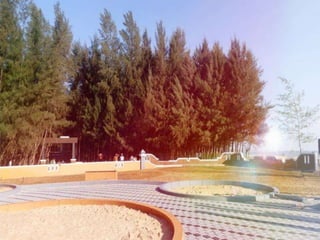 chootad beach kannur | PPT