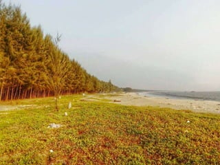 chootad beach kannur | PPT