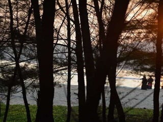 chootad beach kannur | PPT