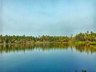 chootad beach kannur | PPT