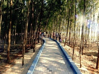 chootad beach kannur | PPT