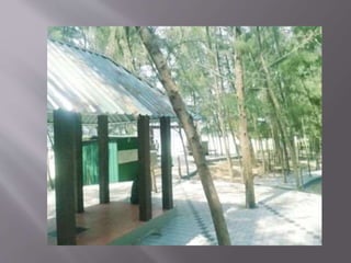 chootad beach kannur | PPT