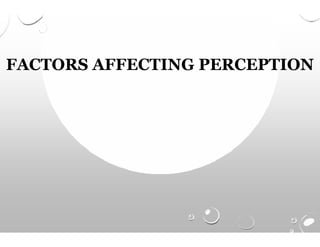 Perception | PDF