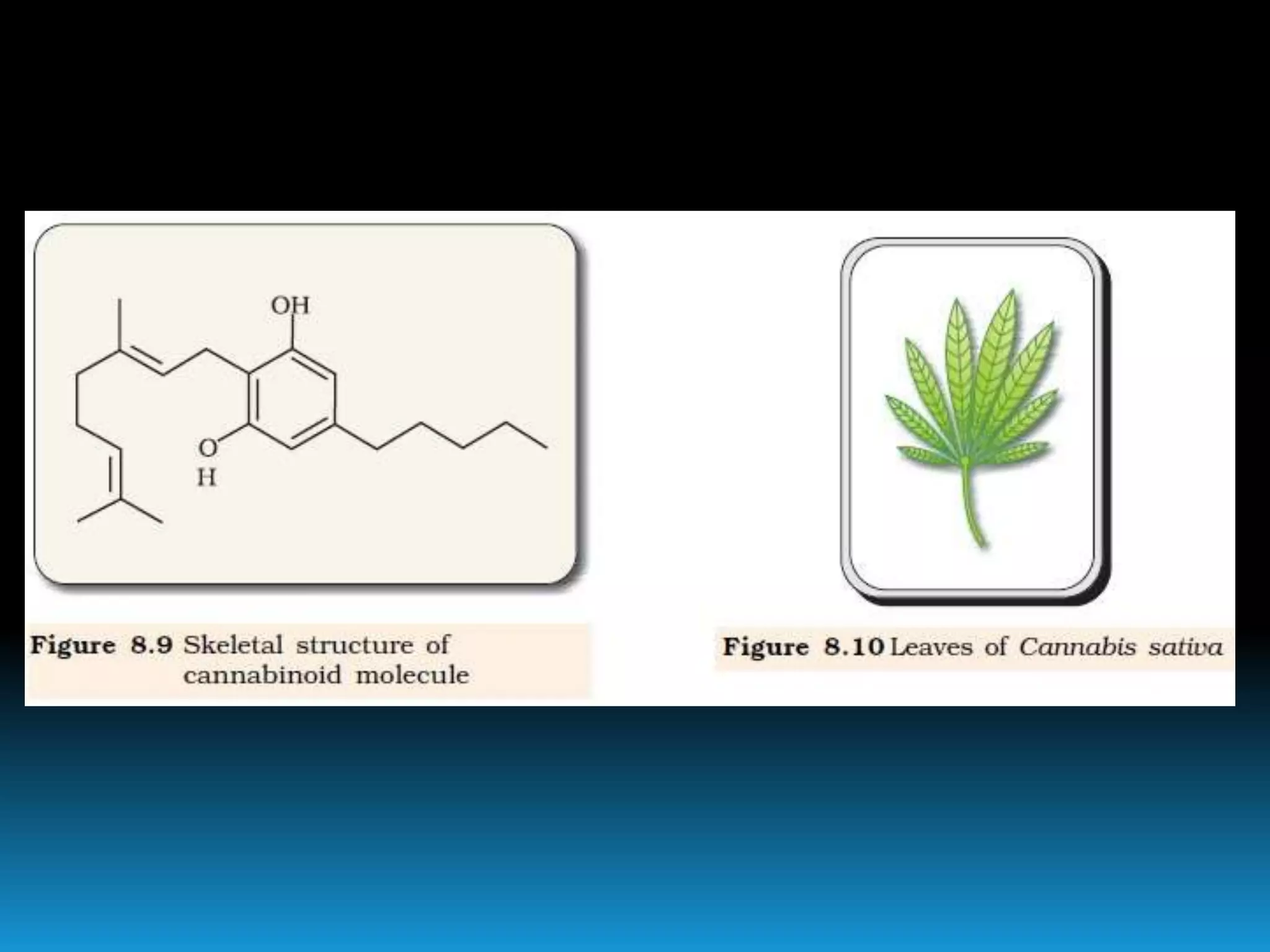 Biology, Chapter: Human health and Disease, Drugs and alcohol abuse ...