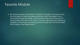 Portfolio Project | PPT