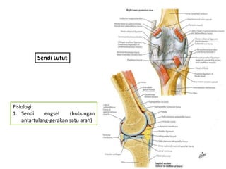 Artritis Gout | PPTX