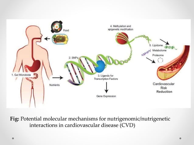 Nutrigenomics | PPTX