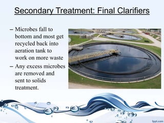 treatment of urban sewage | PPTX | Science