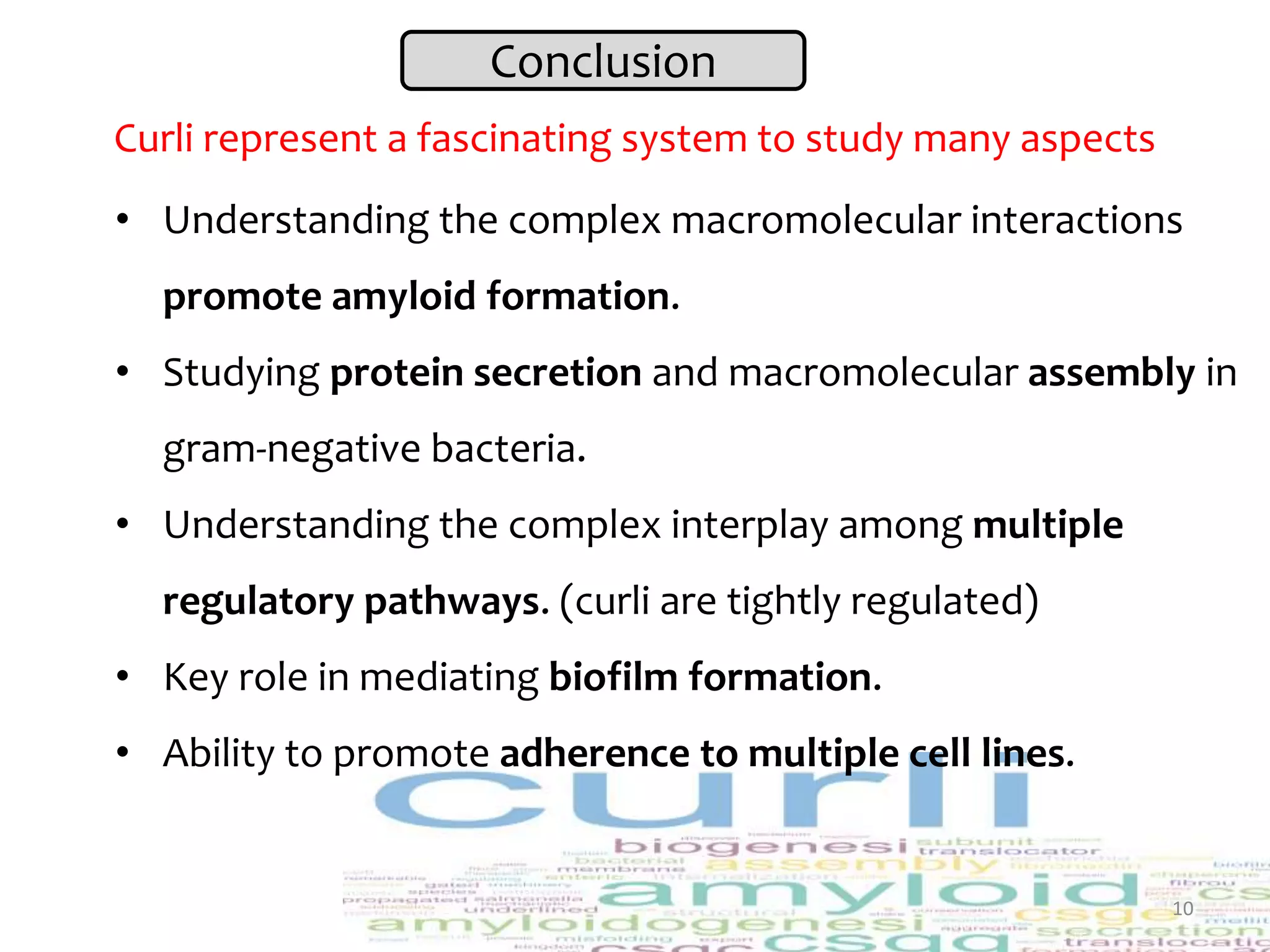Introduction curli-functional amyloid in E. Coli | PPTX