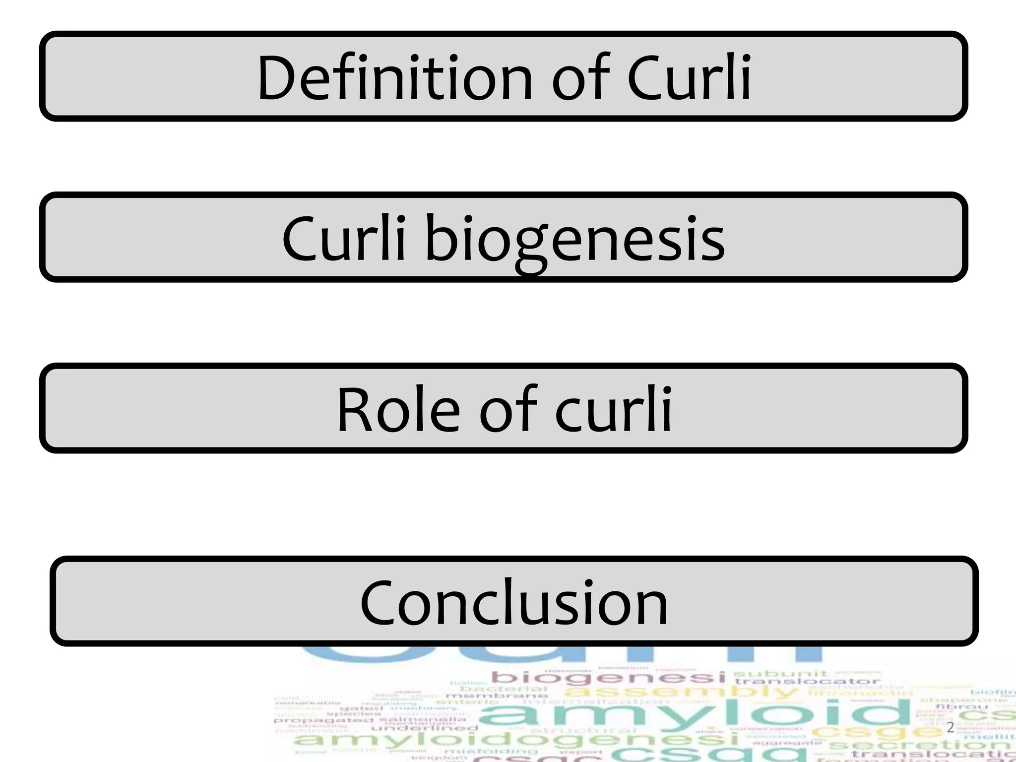 Introduction curli-functional amyloid in E. Coli | PPTX