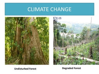 Presentation2 | PPTX | Environmental Services Industry | Industries
