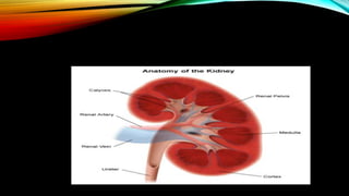 chapter 3 form 3 science | PPT