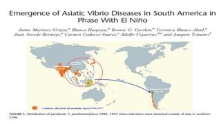 Presentation 2.5 Ecology, virulence factors and global spread of ...