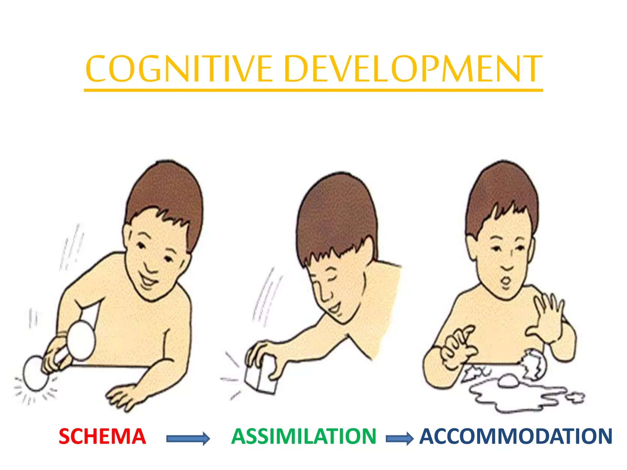 Piaget Theory of Cognitive Development Part-II | PPTX