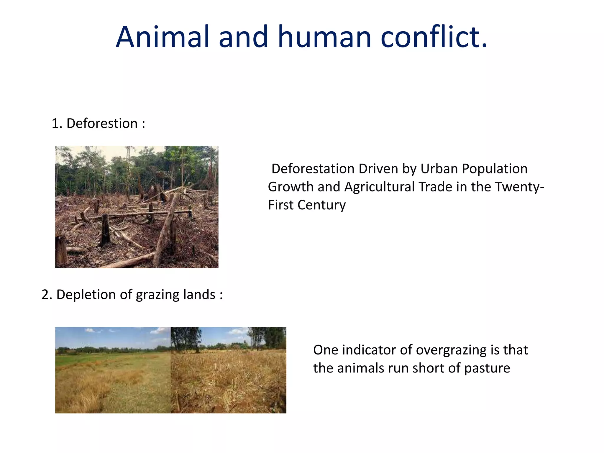 Rapid urbanization is a threat to bio-diversity | PPTX