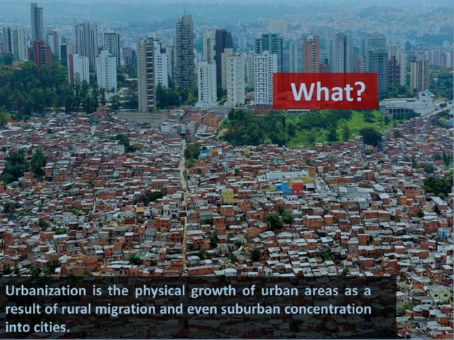 Rapid urbanization is a threat to bio-diversity | PPT