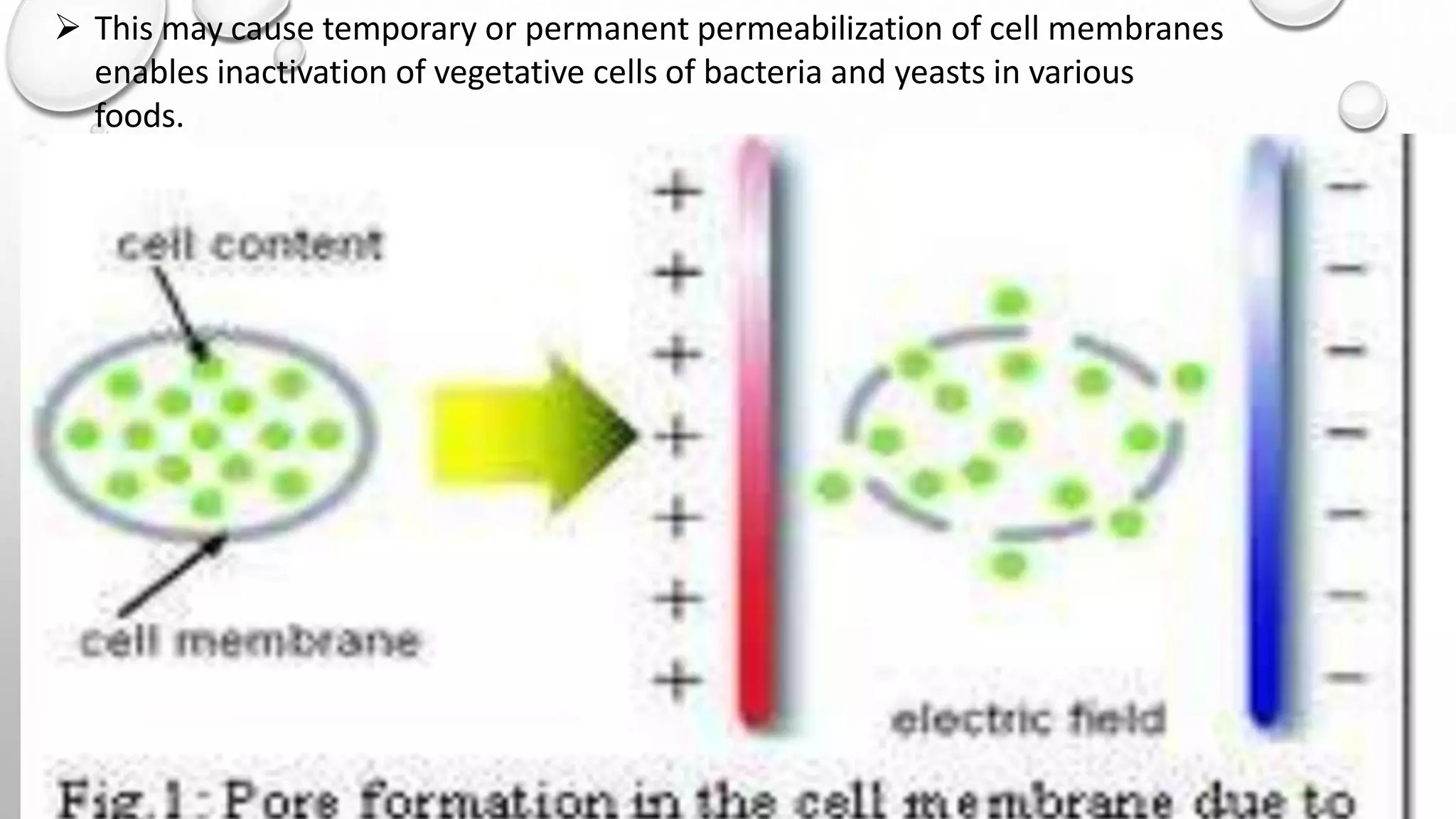 pulsed electric field A new technology for food preservation | PPT