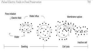 pulsed electric field A new technology for food preservation | PPTX
